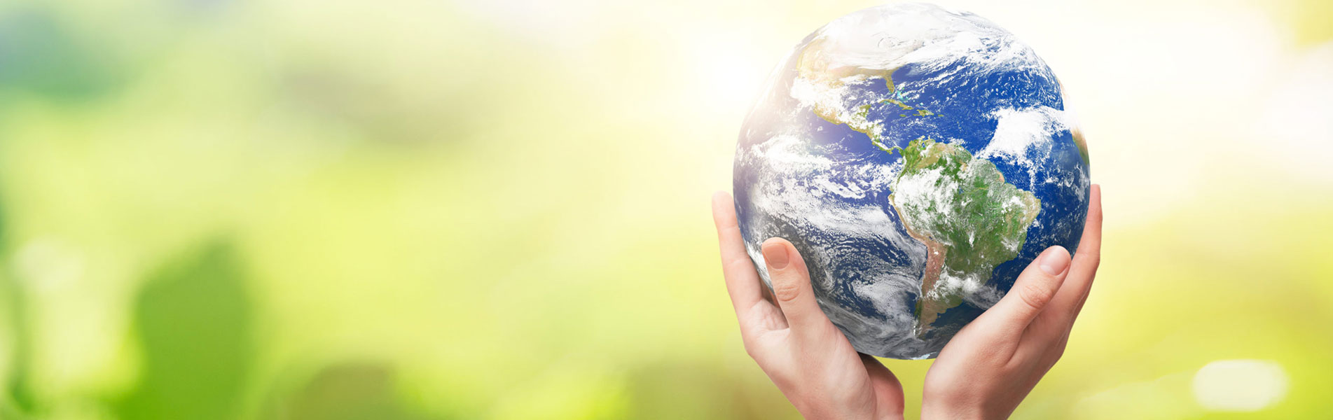 Why your business should consider going green | NICAID Group